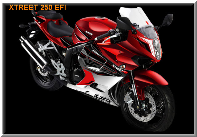 UM Xtreet 250 EFI 2012 | TecnoAutos.com